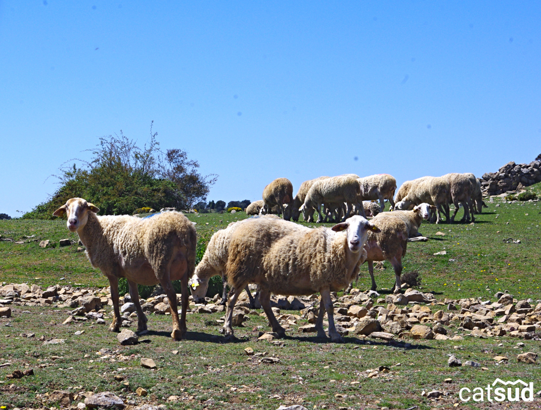 MASOS DE MUNTANYA. Parlem de com era la vida abans als masos.