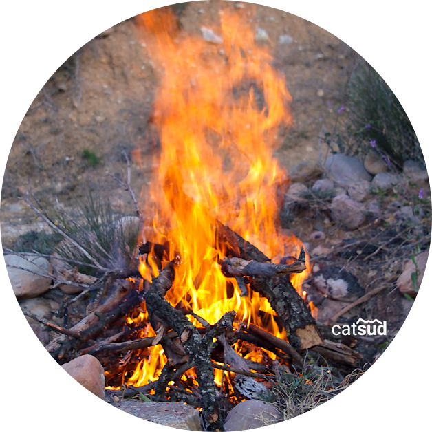 La simbologia del foc