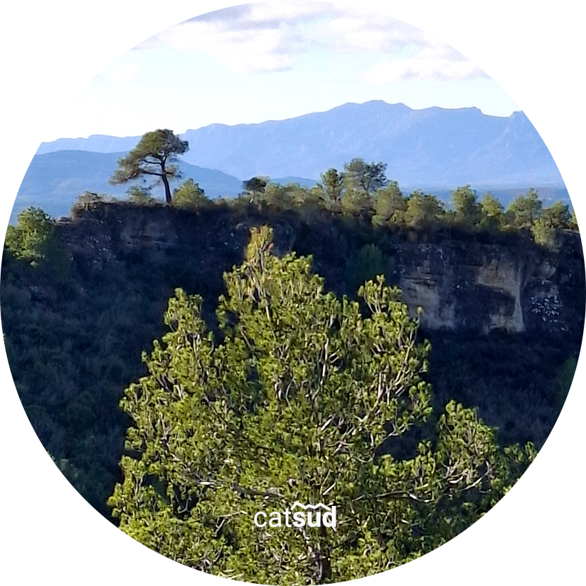 Lo Sarraí: un balcó natural esplèndid - Natura còsmica