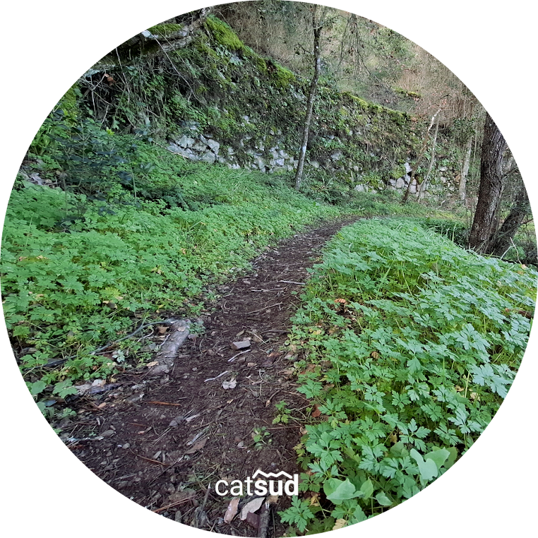 SENDERS BONICS veritables tresors paisatgístics