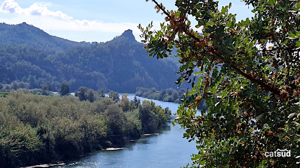 EXCURSIONS PEL RIU EBRE camins d’aigua i llum